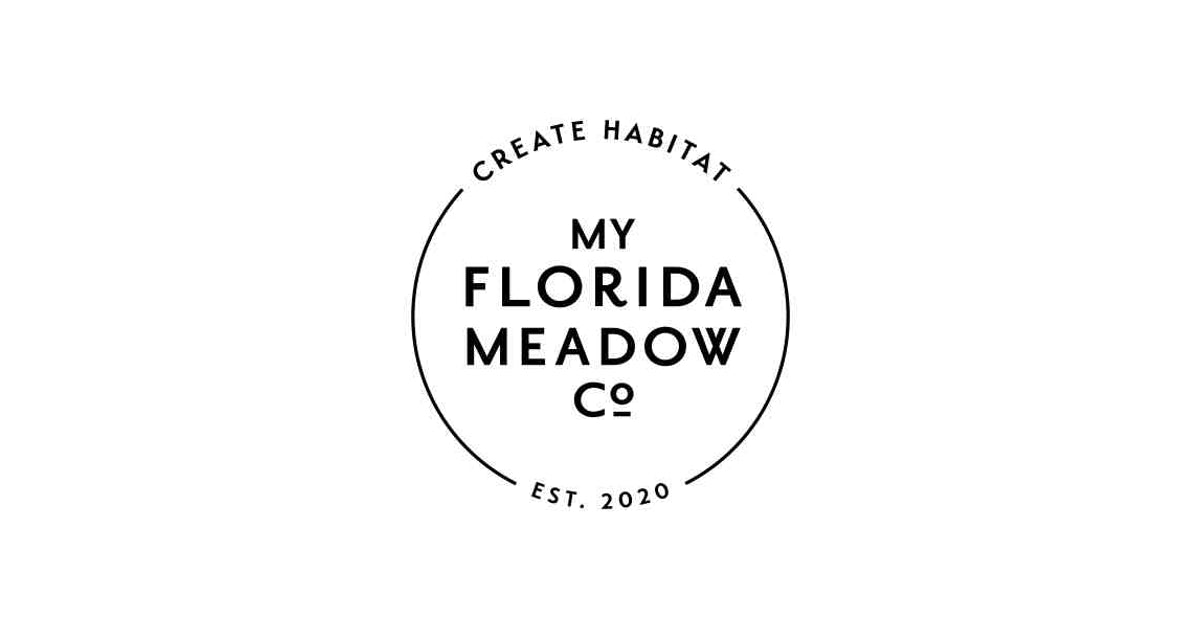 Florida ecotype native wildflowers and grasses. – My Florida Meadow Co.
